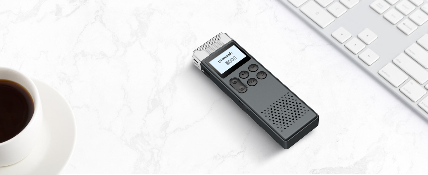 80GB Digital Voice Activated Recorder with Playback - Audio Voice ...