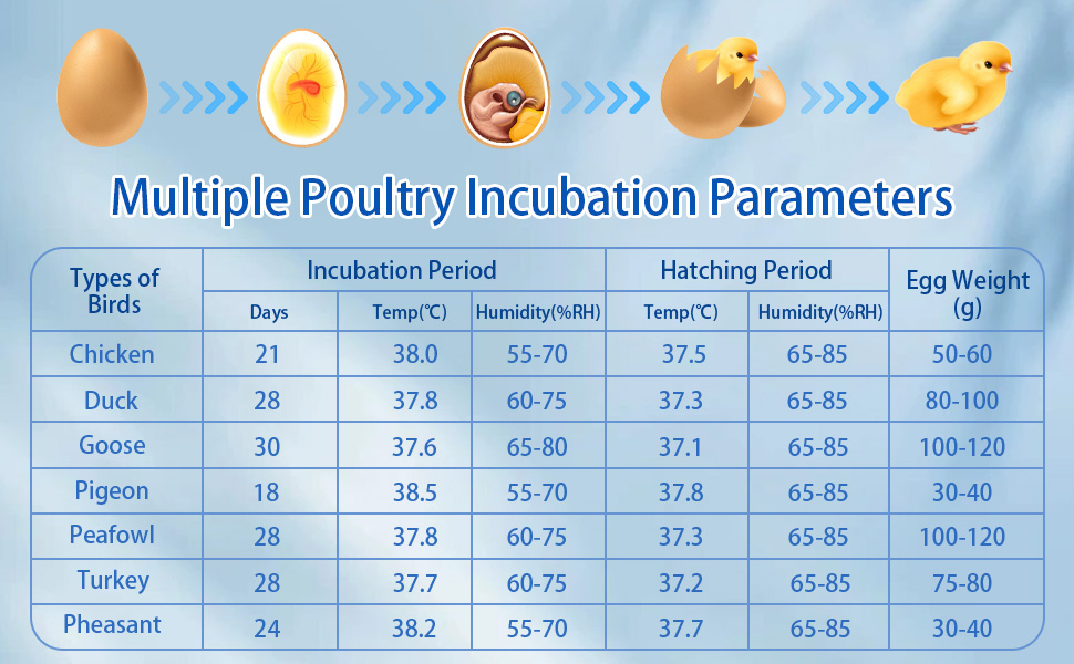 ConBlom Egg Incubators for Hatching Eggs, Goose Incubator for Eggs ...