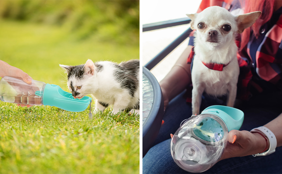 Dog Water Bottle 550ml, Xakay Portable Pet Water Bottles for Dogs Leakproof Water Feeder Water ...