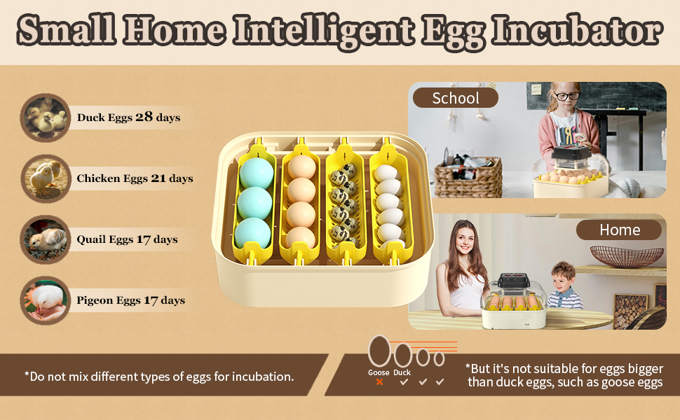 Amazon.com: Chalixion Chicken Incubators for Hatching Eggs,16 Egg Incubator with Automatic ...