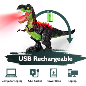 Amazon.com: FANURY Remote Control Dinosaur Toys for Kids 3-7, 2.4G RC Walking T-rex with 360 ...