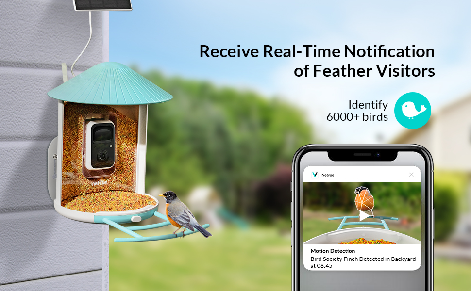 Amazon.com: NETVUE Birdfy - Smart Bird Feeder Camera, Bird Watching Camera Auto Capture Bird ...