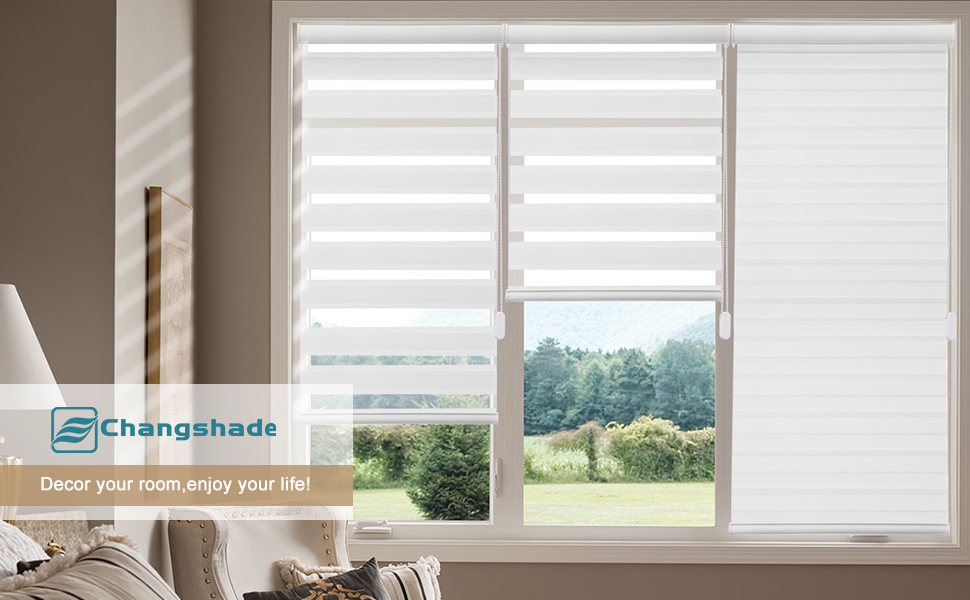 Changshade Zebra Blinds Cordless for Windows Custom Size, Blackout Zebra Roller Shades for ...