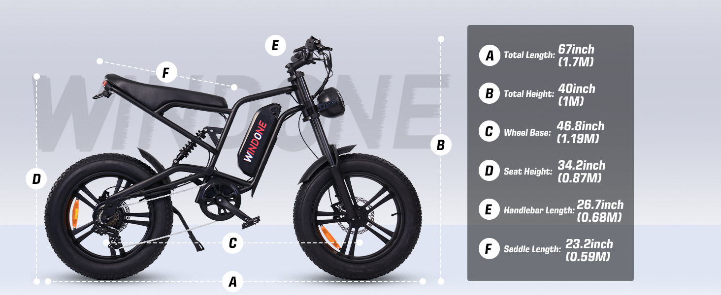 Windone E2 Electric Bike for Adults, 750W Motor, 48V 13Ah Battery, 20"x4.0" Fat Tire Ebike, Up ...