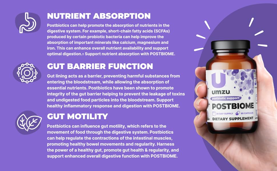 Amazon.com: UMZU Postbiome Postbiotic Supplement | Gut Health ...