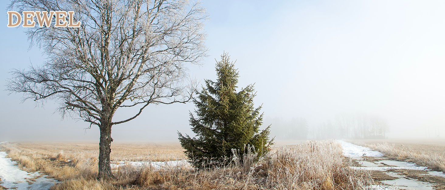 Amazon | DEWEL ホットマット 電気マット 6段階温度調節 タイマー機能付き 過熱保護 40*76cm 電気カーペット 電熱マット 速暖 防寒対策 ひざ掛け/肩掛け/足掛け 省エネ ...