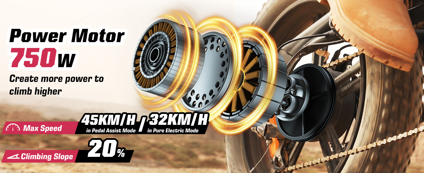 Windone E2 Electric Bike for Adults, 750W Motor, 48V 13Ah Battery, 20 ...