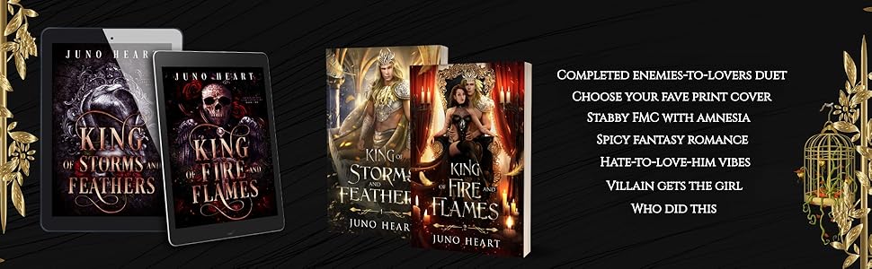 Amazon.com: King of Storms and Feathers: A Dark Fae Fantasy Romance (Courts of the Star Fae ...