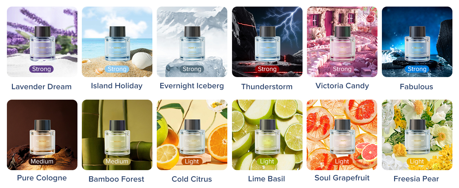 Amazon.com: Ceeniu Car Air Fresheners - F26/F39 Dedicated Perfume Refill 45ml - Made with ...