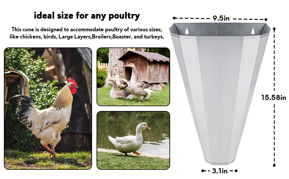 Amazon.com : Poabalyee Steel Poultry Restraining Cone for Chickens : Easy to Clean Chicken Cones ...