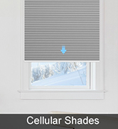 Amazon.com: Graywind Motorized Dual Shades Smart Double Blinds Blackout and Light Filtering ...