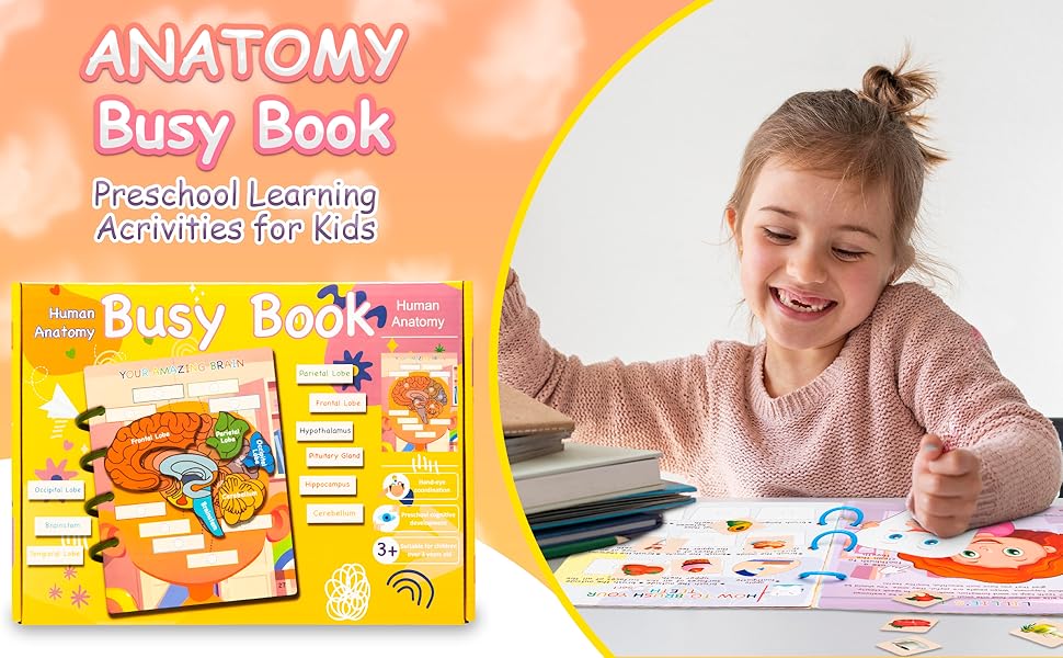 Amazon.com: Alened Human Body Anatomy Busy Book for Kids, Kindergarten ...