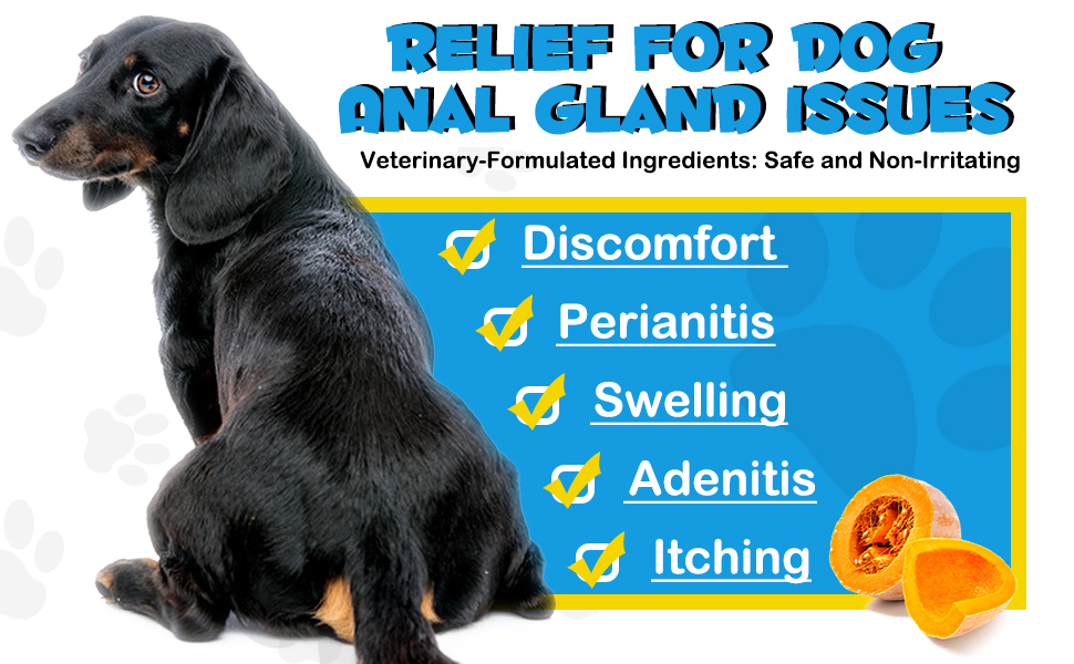 Amazon.com : Anal Gland Support Supplement with Pumpkin Puree for Dogs, Dog Diarrhea Support ...