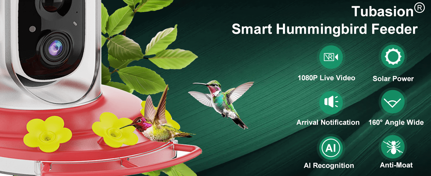 Amazon.com : Smart Hummingbird Feeder with Camera Solar Powered, AI Video Hummingbird Feeder ...