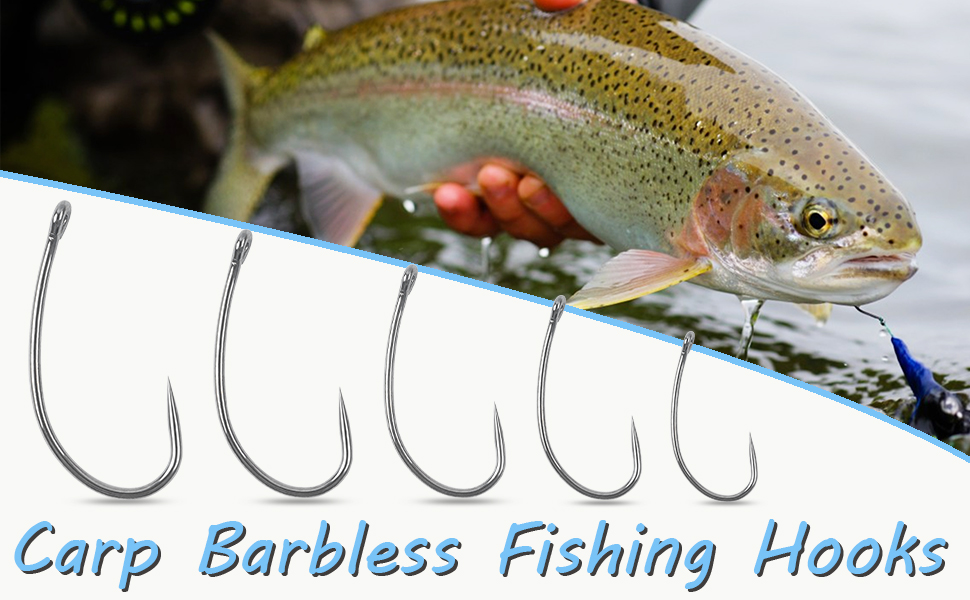 Amazon.com : 200pcs Barbless Fishing Hooks Kit Carp Fishing Fly Tying Hooks Circle Curve Shank ...