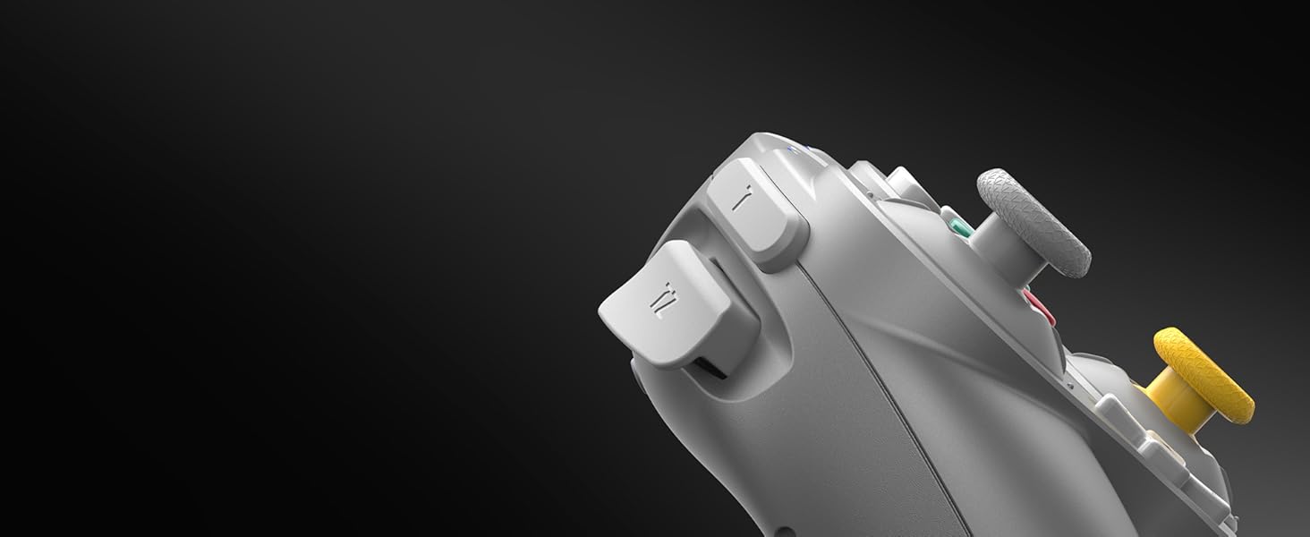 Amazon.com: NYXI Wizard Gamecube Switch Controller for Nintendio Switch ...