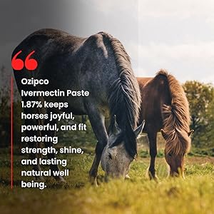 Amazon.com : Ivermectin Horse Paste 1.87% | Apple Flavor – 6.08g Syringe for Equine Use Only Up ...