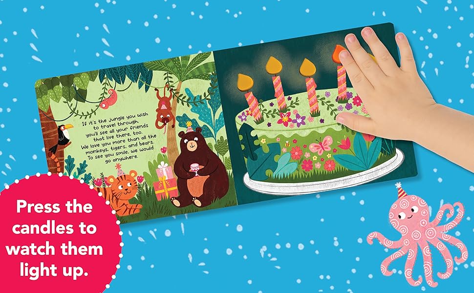 Amazon.com: Little Hippo Books Birthday Delight Light Up Children's Books | Touch and Feel Books ...