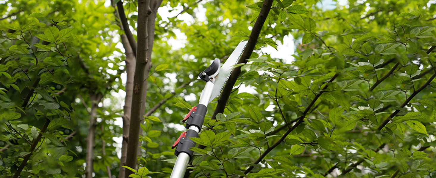Amazon.com : FLORA GUARD 4.6-10ft Extendable Tree Pruner，Cut and Hold Pruning Trimmer - Long ...