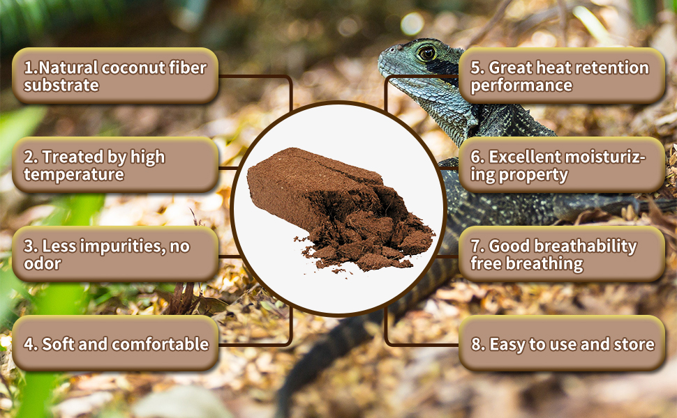 Amazon.com : Hamiledyi Compressed Coconut Fiber Substrate,2 Pcs ...