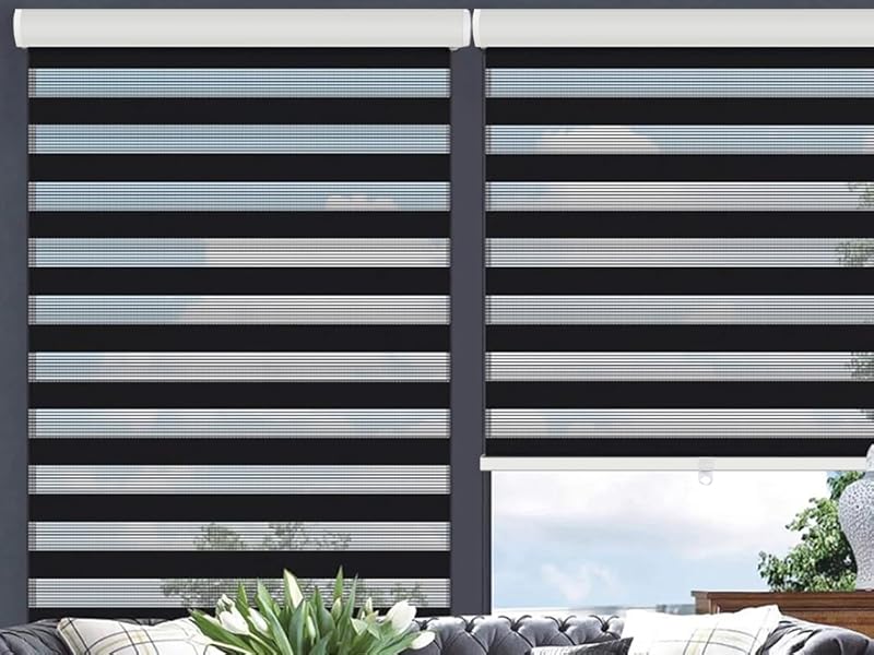 Amazon.com: LUCKUP Cordless Zebra Blinds Roller Shades for Window-Dual Layer Sheer Blinds Light ...