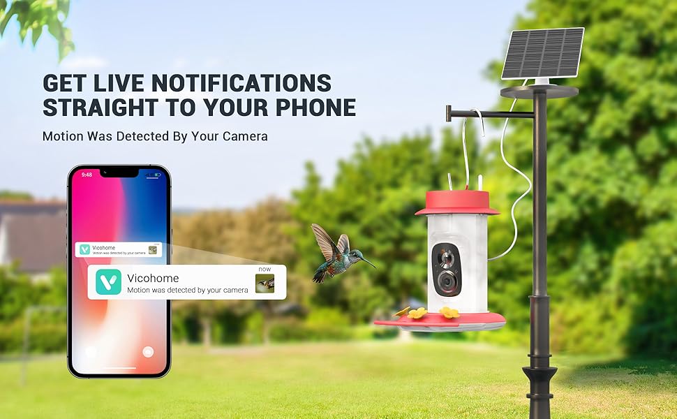 Amazon.com : Hummingbird Feeder with Camera, AI Smart Identification Cloud Storage Function ...