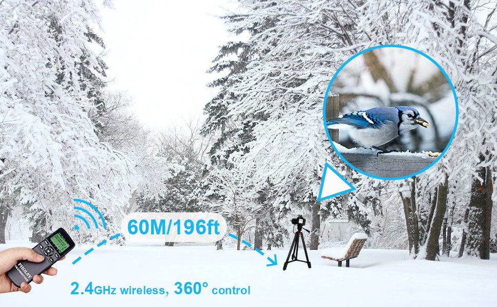 Amazon.com: PHOLSY Timer Intervalometer for Canon Shutter Release C6 Camera Remote Control for ...