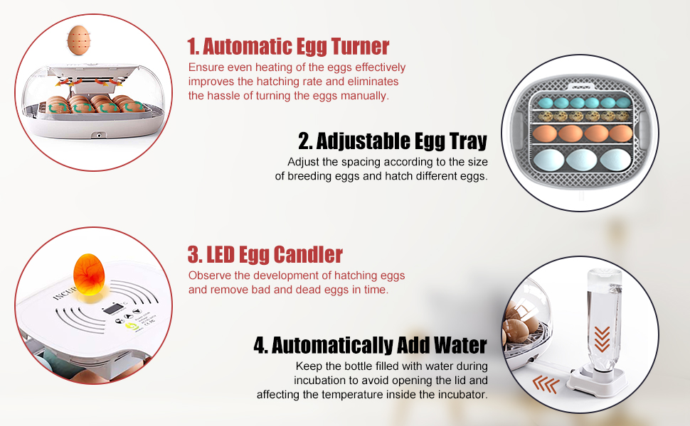 Amazon.com: Losbenco Incubators for Hatching Eggs, 16 Eggs Incubator with Automatic Egg Turning ...