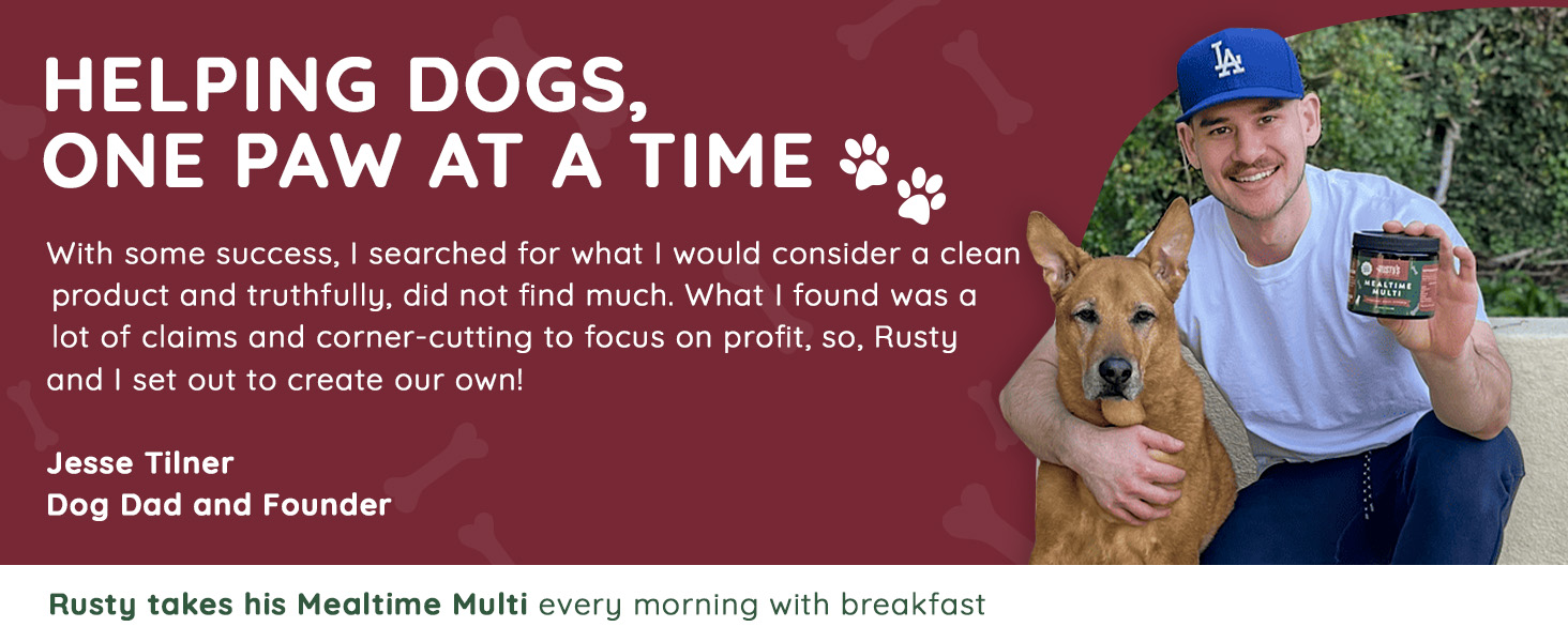 Amazon.com : Premium Dog Multivitamin Supplement (170 Chews) - Mealtime Multi - with CoQ10 ...