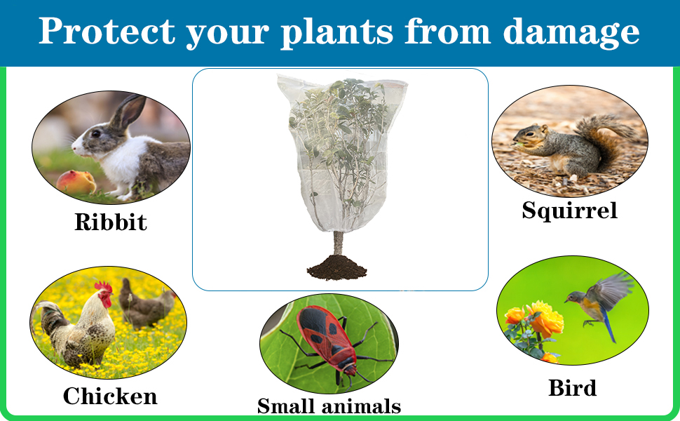 Amazon.com : BKDMZZMY Garden Netting with Drawstring and Zipper, 5.9x6.6FT Fruit Tree Netting ...