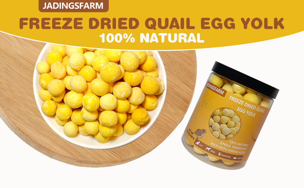 Amazon.com : JADINGSFARM Freeze Dried Quail Egg Yolk Dog Treats, 8.8 oz Limited Ingredient ...