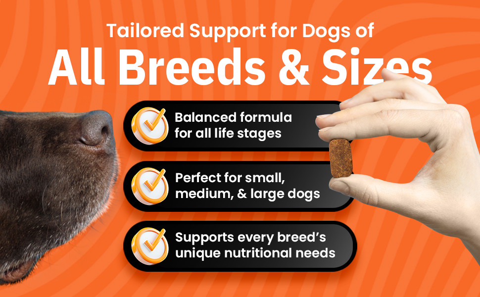 Amazon.com : Dog Multivitamin Chewable - LotsOfLove Daily Multi Dog Chews (60 Count) - Dog Multi ...