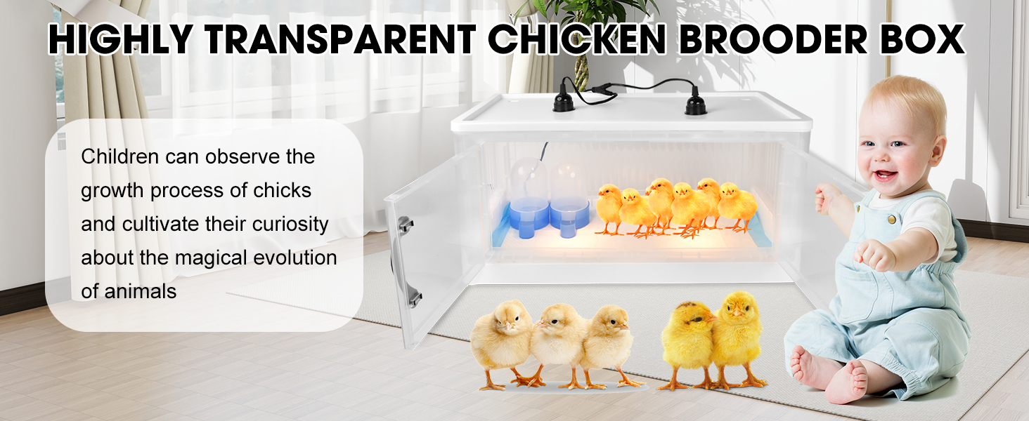 Amazon.com: Chicken Brooder Box with Heater and Warmer Plate Kit, Large Brooder Box for Chicks ...
