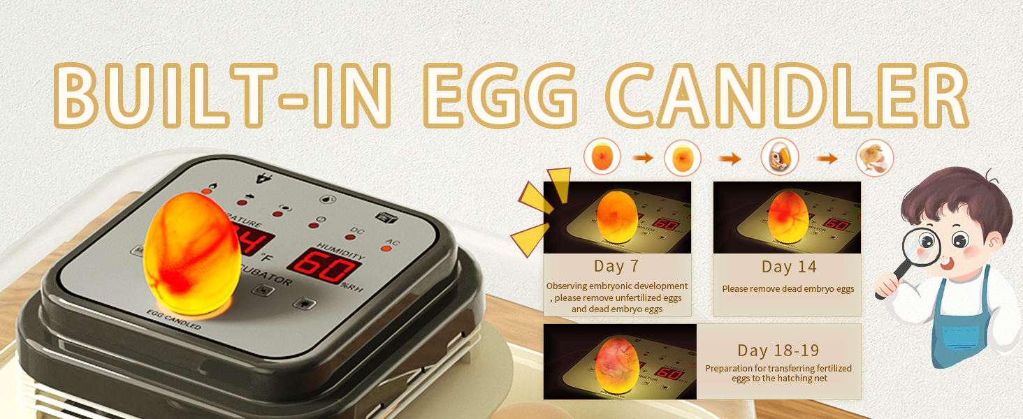 Amazon.com: Hethya Incubators for Hatching Eggs, 35 Eggs Incubator with Automatic Egg Turning ...