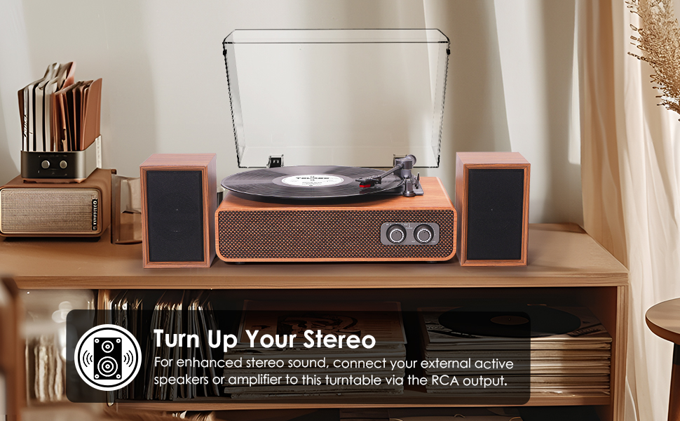Amazon.com: DANFI Record Player Turntable with Upgraded Speakers ...