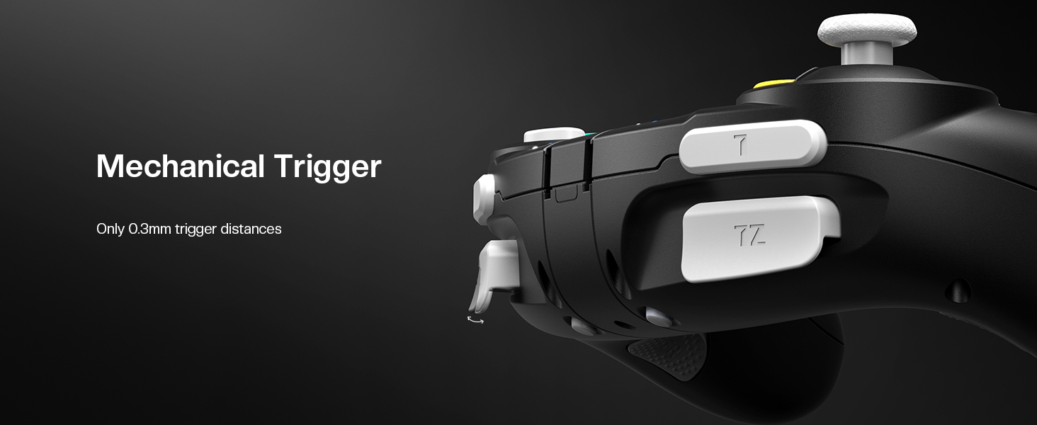 Amazon.com: NYXI Wizard Gamecube Switch Controller for Switch/Switch ...