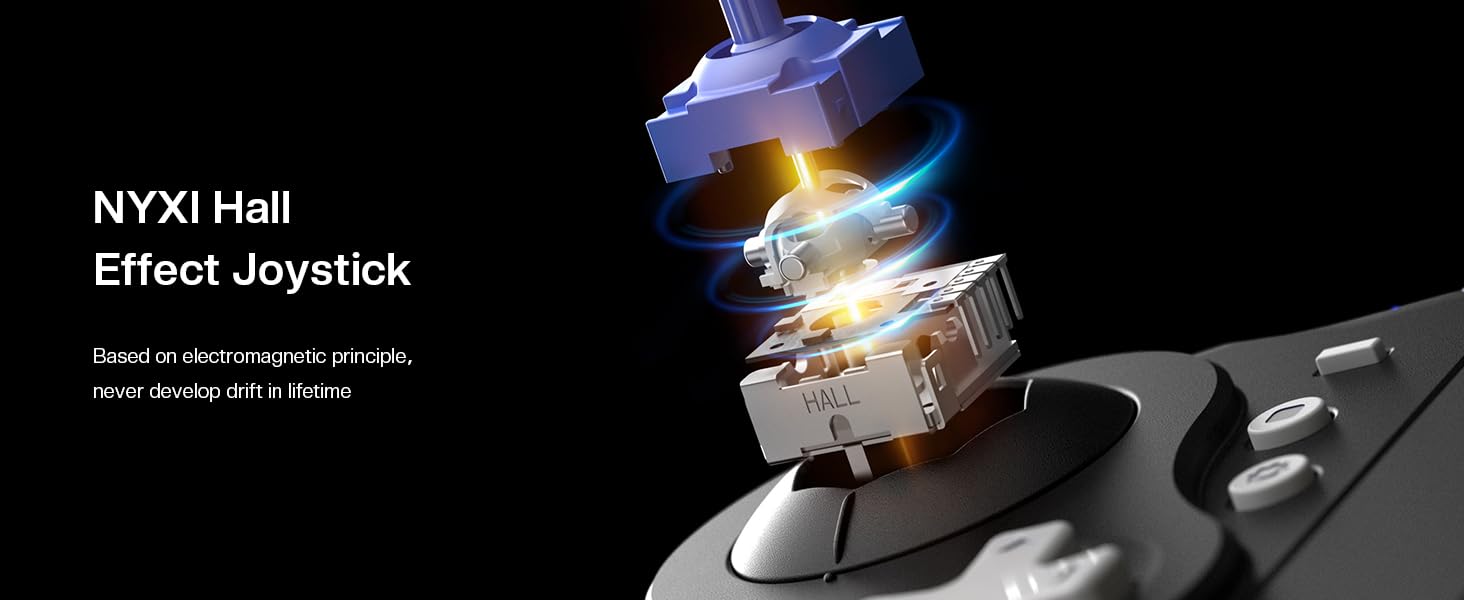 Amazon.com: NYXI Wizard Gamecube Switch Controller for Nintendio Switch ...