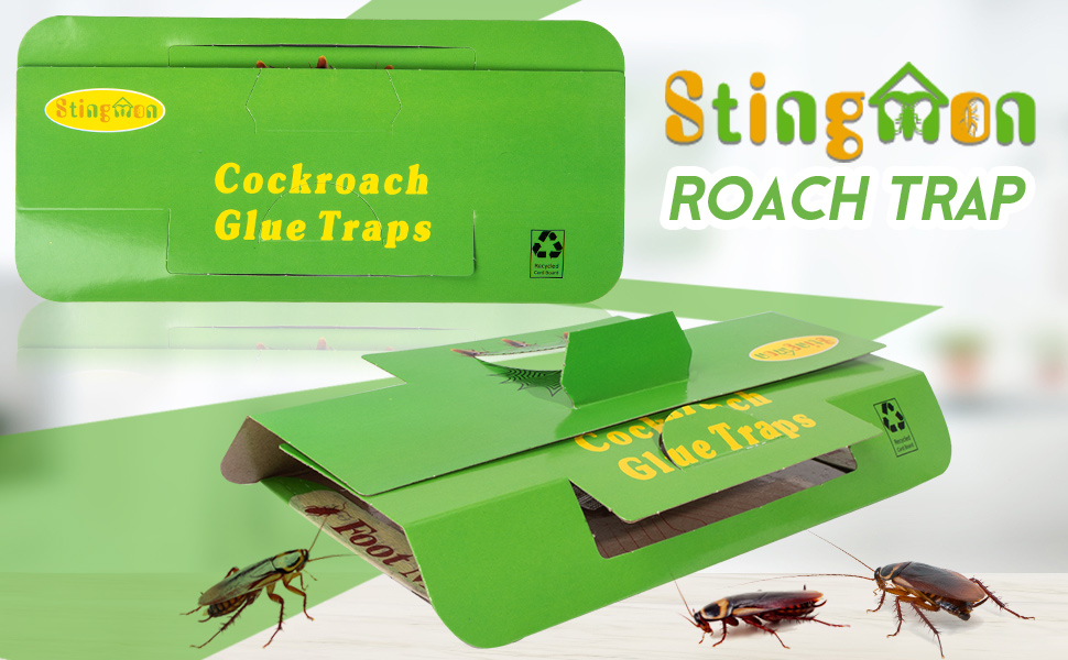 Amazon.com : 12 Pack Roach Traps Indoor Roach Killer Indoor Infestation, Cockroach Killer Indoor ...