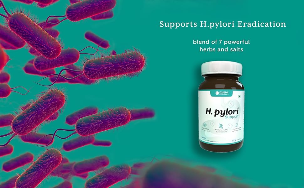 iThrive Essentials H.Pylori Support, Herbal Formula for Recurrent H.Pylori, Acid Reflux Relief ...
