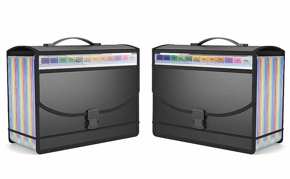 Amazon.com : 25 Pockets Expanding File Folder Accordion File Organizer with Handle,Fun Storage ...