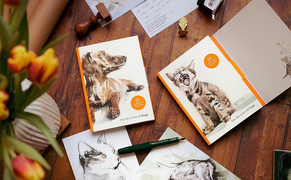 For the Love of Cats: 25 Postcards: Sampson, Ana, Maydock, Sarah ...