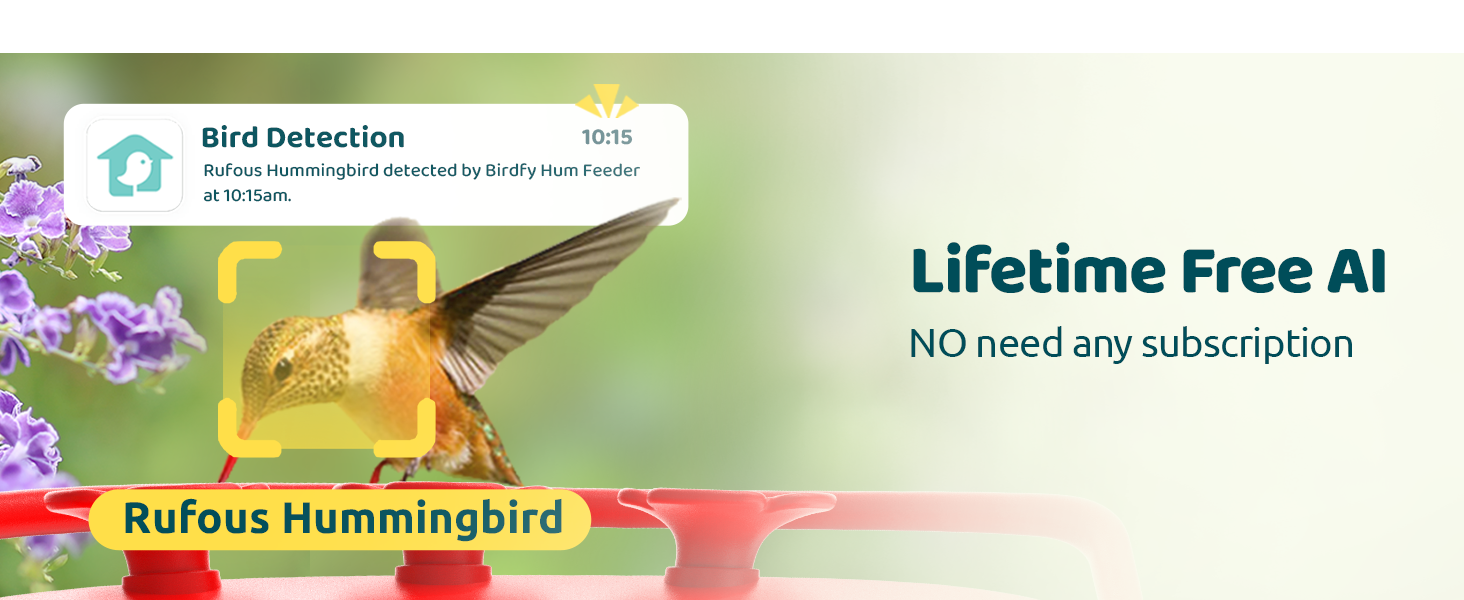 Amazon.com : NETVUE by Birdfy Hummingbird Feeder with 2 Cameras - Dual Smart Cams, 2K HD ...