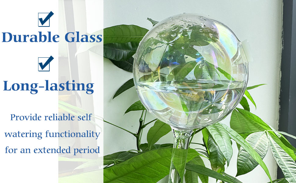 Amazon.com: Glass Plant Watering Globes, 2pcs Plant Automatic Water Bulbs Flower Self Feeder ...