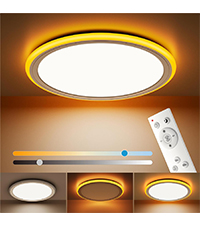 BLNAN Smart RGB LED Flush Mount Ceiling Light with Remote, 13 Inch 24W Dimmable Color Changing ...