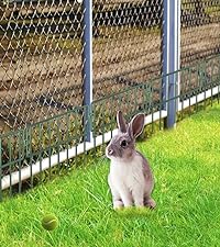 Amazon.com : ADAVIN Garden Fence Animal Barrier with Gate 32 in(H)×17.5 Ft(L) 8 Panels,Rustproof ...