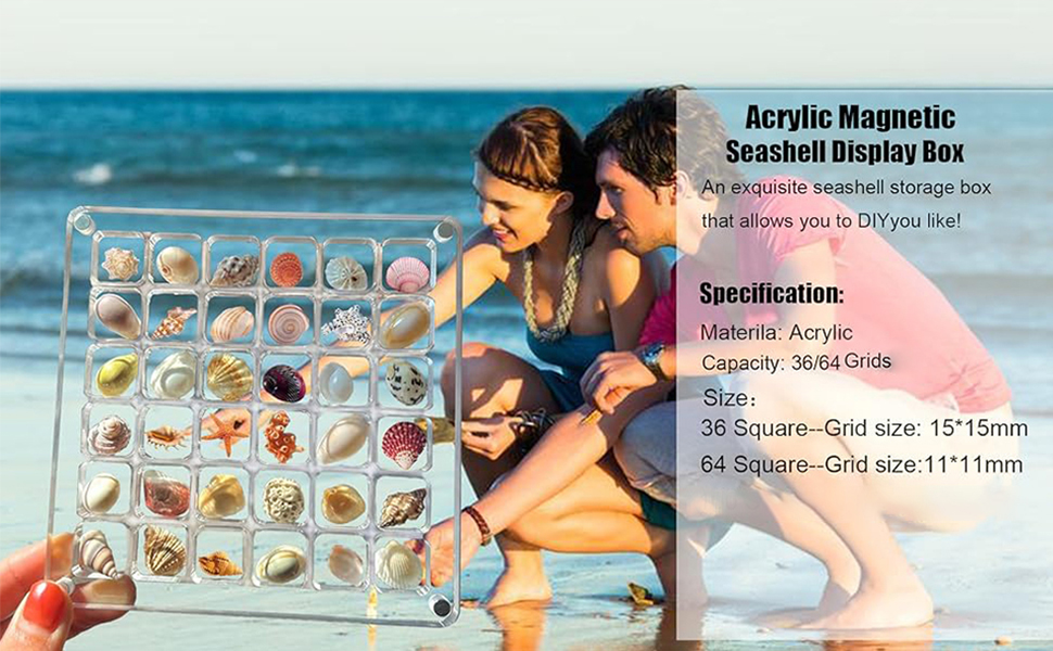 Amazon.com - Acrylic Magnetic Seashell Display Box, Transparent Acrylic Seashell Storage Box ...