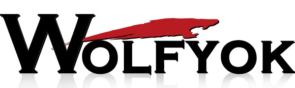 Amazon | Wolfyok 懸垂マシン 【 耐荷重180kg 高さ11段 背もたれ6段 】 ぶら下がり健康器 アームレスト3段 強化7cm幅フレーム π字型土台 Wolfyok(ウルフ ...