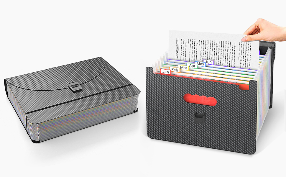 Amazon.com : Vanulee Accordion File Organizer/Expanding File Folder with Handle,13 Pockets ...