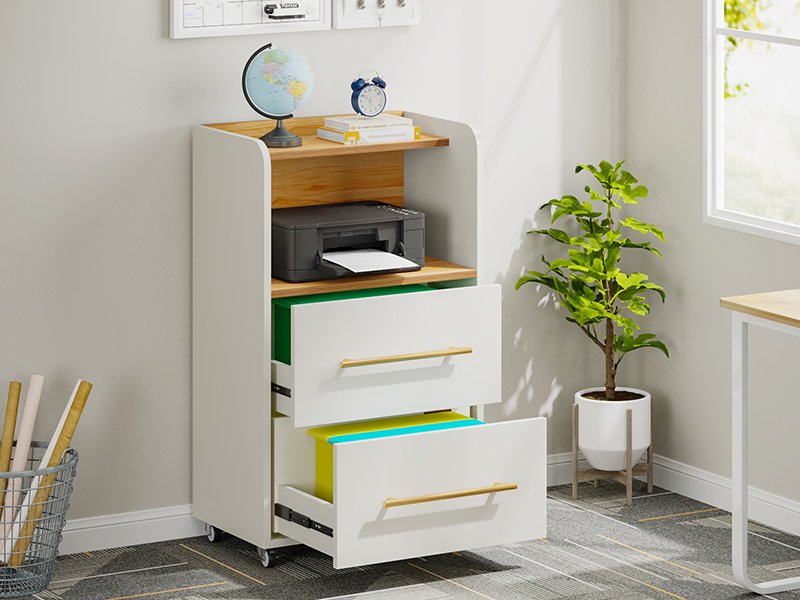 Amazon.com: Tribesigns Lateral File Cabinet with 2 Drawers, Modern White Filing Cabinet Wood ...