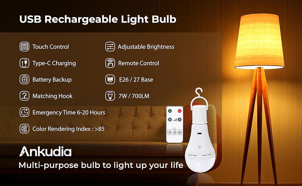 USB Rechargeable Light Bulbs with Remote, Dimmable and Timer, Wireless ...